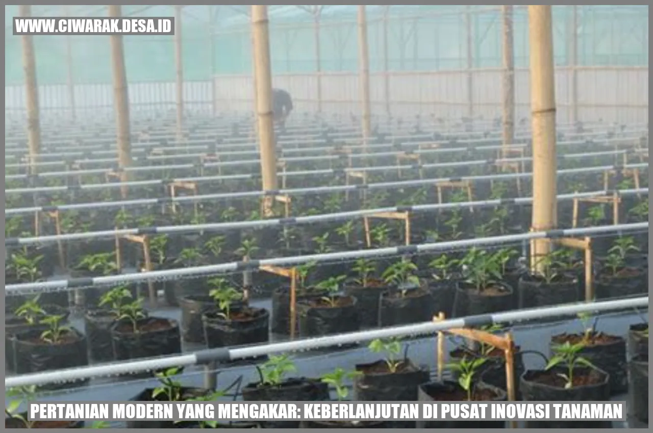 Pertanian Modern yang Mengakar: Keberlanjutan di Pusat Inovasi Tanaman ...